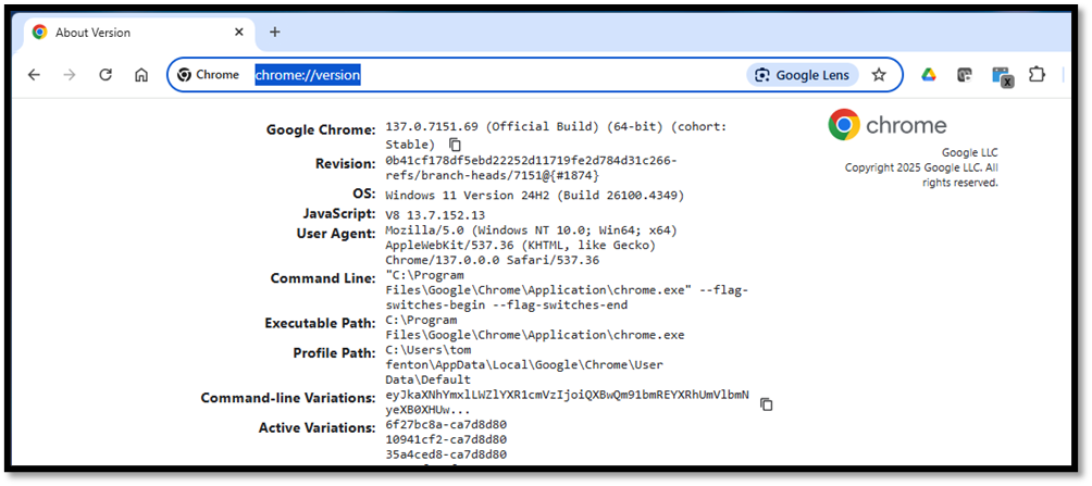 google chrome variations